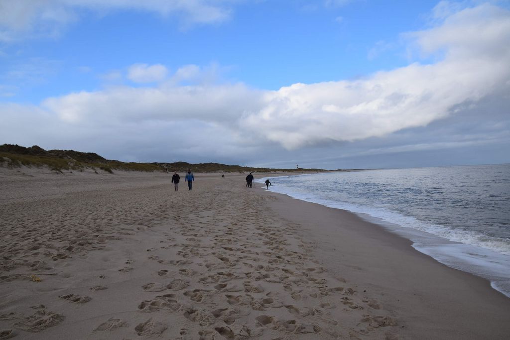 Lister Ellenbogen on Sylt: A paradise for nature lovers