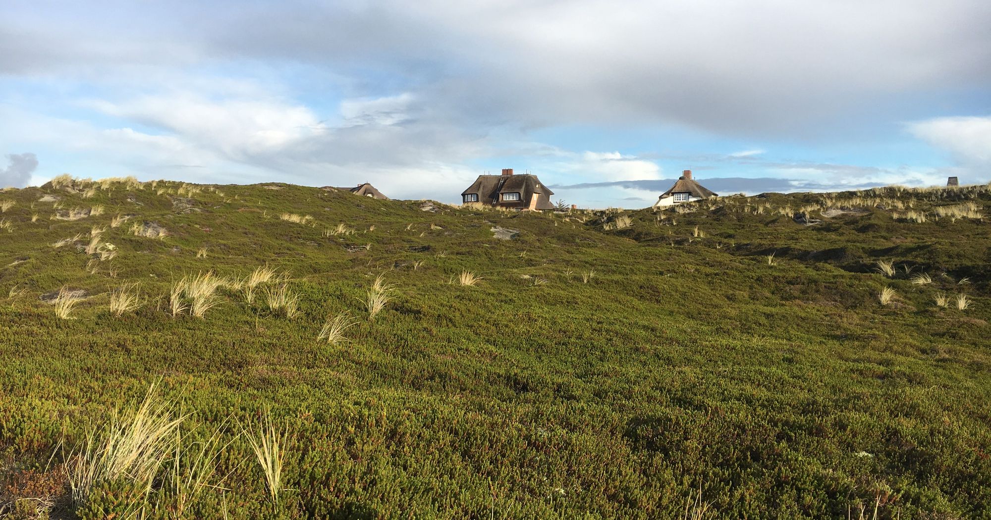 Ferienwohnungen in Rantum – zwischen Nordsee & Wattenmeer