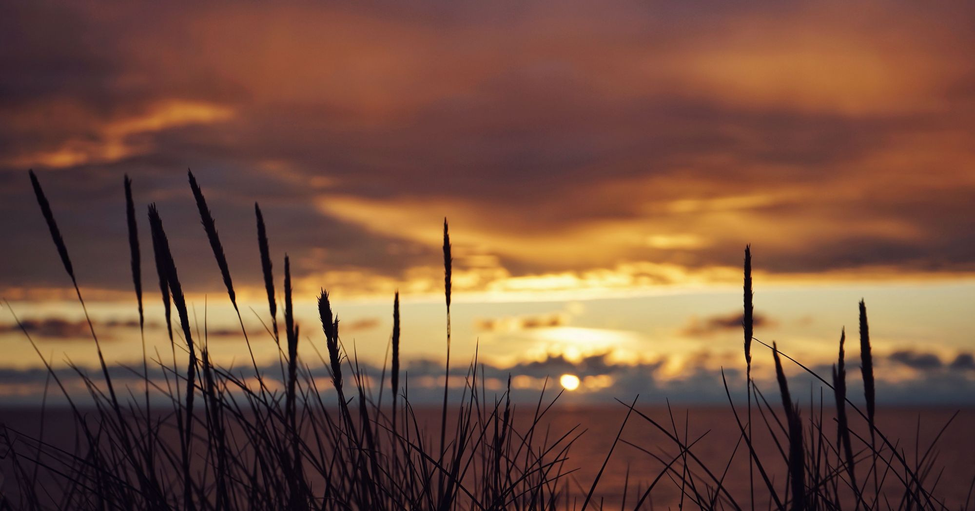 Silvester Sylt: Events & Party-Highlights 2024