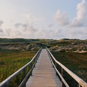 Die Insel Sylt: Kultur, Genuss & Abenteuer