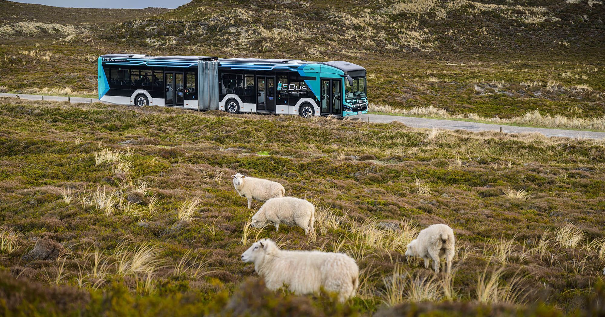 Erkunde Sylt mit Linienbussen: Routen & Tipps