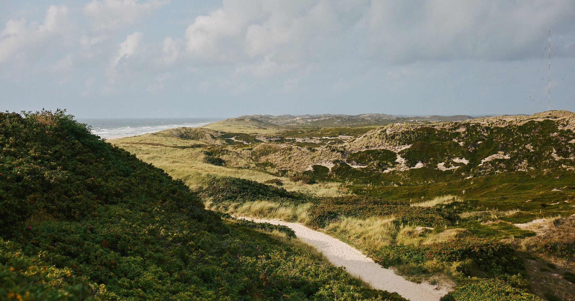Dünen auf Sylt – Naturschutz & Naturparadies erleben