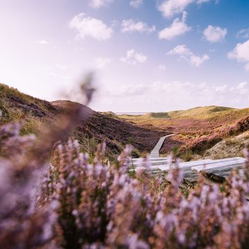 The island of Sylt: culture, enjoyment & adventure