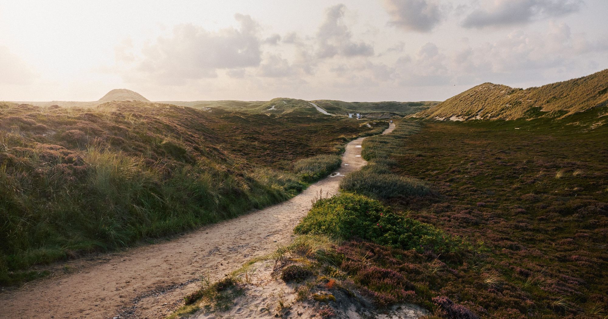Wadden Sea Experience: Natural Wonders on the North Sea